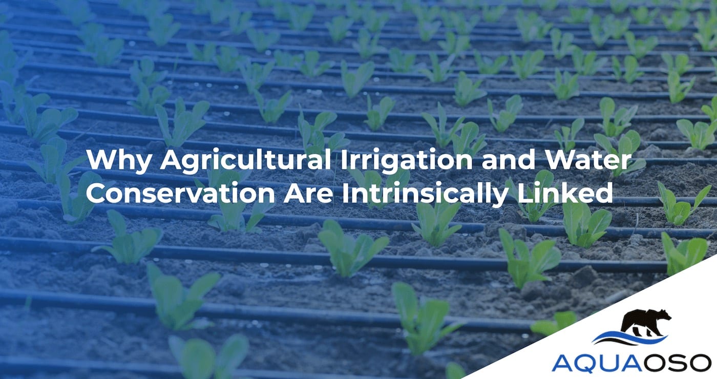 Why Agricultural Irrigation and Water Conservation Are Intrinsically Linked